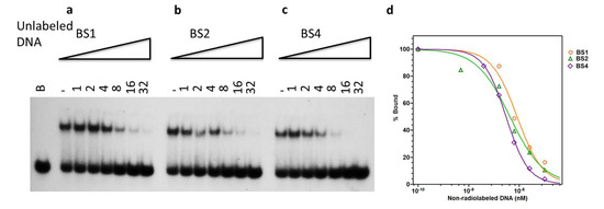 Sequence-Dependent Interaction of the Human Papillomavirus E2 Protein ...