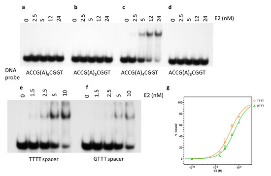 Sequence-Dependent Interaction of the Human Papillomavirus E2 Protein ...