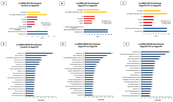 Ijms Free Full Text Novel Transcriptomic Interactomes Of Noncoding