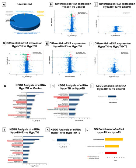 Ijms Free Full Text Novel Transcriptomic Interactomes Of Noncoding