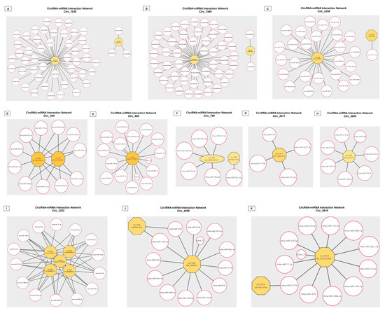 Ijms Free Full Text Novel Transcriptomic Interactomes Of Noncoding