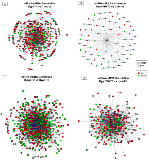 Ijms Free Full Text Novel Transcriptomic Interactomes Of Noncoding