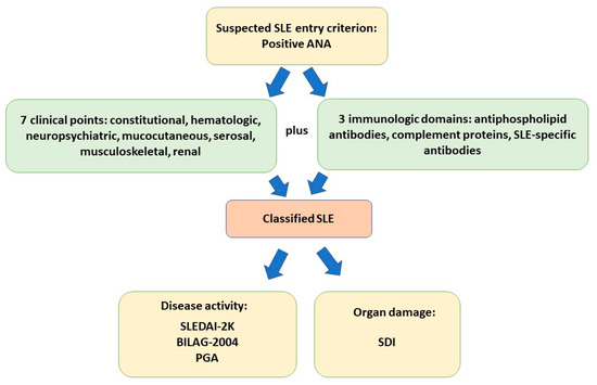 Advances in the Pathogenesis and Treatment of Systemic Lupus Erythematosus