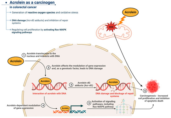 Diet as a Source of Acrolein: Molecular Basis of Aldehyde Biological ...