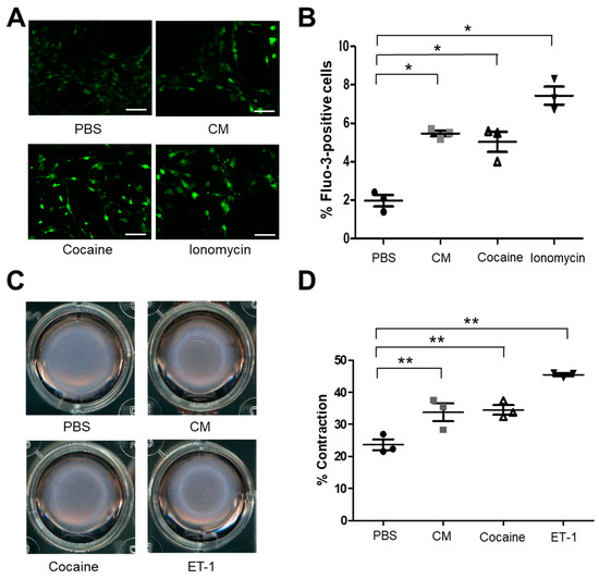 MicroRNA-423-5p Mediates Cocaine-Induced Smooth Muscle Cell Contraction ...