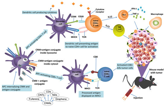 Carbon Nanomaterials: Emerging Roles in Immuno-Oncology