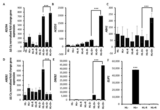 Highlight Induced Transcriptional Priming against a Subsequent Drought ...