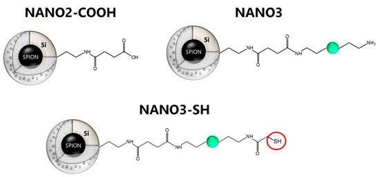 Development of New Targeted Nanotherapy Combined with Magneto ...