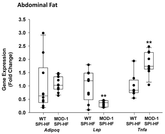 Ijms Free Full Text Malic Enzyme 1 Me1 Promotes Adiposity And