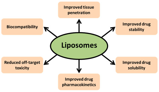 Liposomes in Cancer Therapy: How Did We Start and Where Are We Now