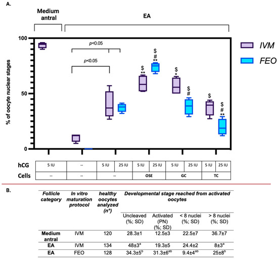 IVM Advances for Early Antral Follicle-Enclosed Oocytes Coupling ...