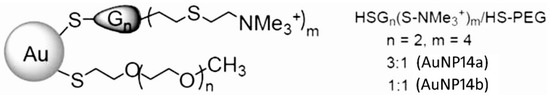 Pegylated Gold Nanoparticles Conjugated with siRNA: Complexes Formation ...