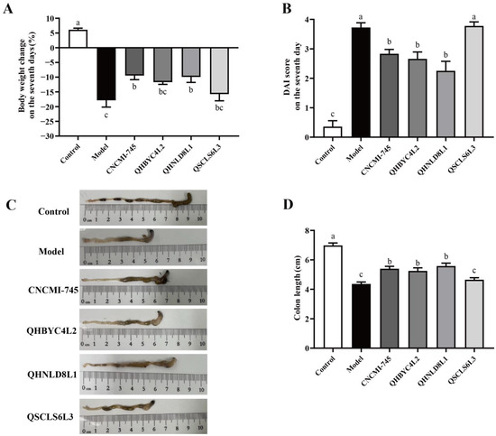 Anti-Inflammatory, Barrier Maintenance, and Gut Microbiome Modulation ...