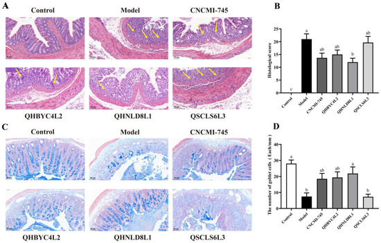 Anti-Inflammatory, Barrier Maintenance, and Gut Microbiome Modulation ...