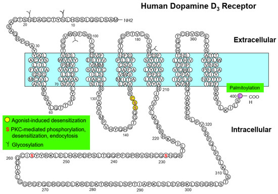 Unveiling the Differences in Signaling and Regulatory Mechanisms ...