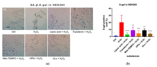 Modulation of Cellular Senescence in HEK293 and HepG2 Cells by ...