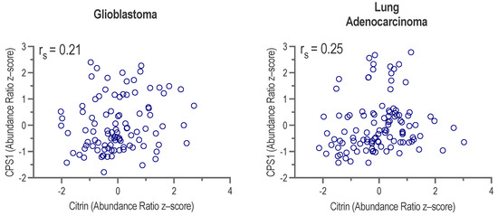 NAGS, CPS1, and SLC25A13 (Citrin) at the Crossroads of Arginine and ...