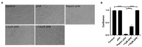 The Protease Inhibitor Amprenavir Protects against Pepsin-Induced ...