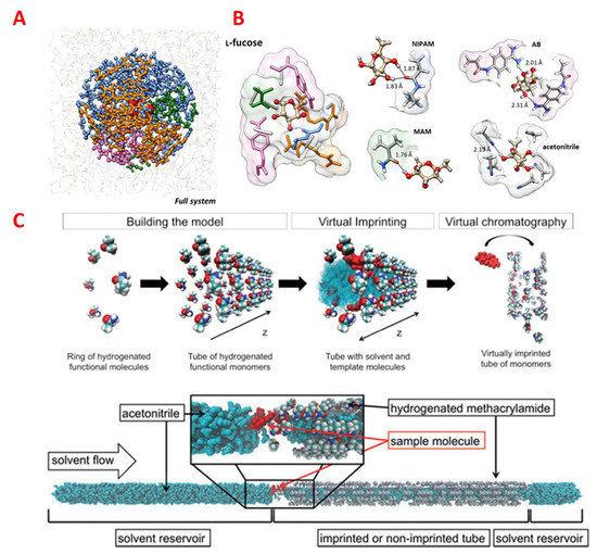 Rational In Silico Design of Molecularly Imprinted Polymers: Current ...