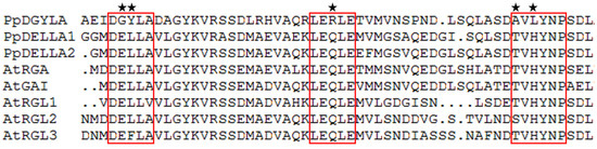 Peach DELLA Protein PpeDGYLA Is Not Degraded in the Presence of Active ...