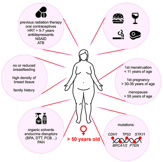 Ijms Free Full Text A Basic Review On Estrogen Receptor Signaling Pathways In Breast Cancer