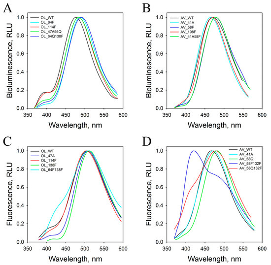 The Role of Tyr-His-Trp Triad and Water Molecule Near the N1-Atom of 2 ...