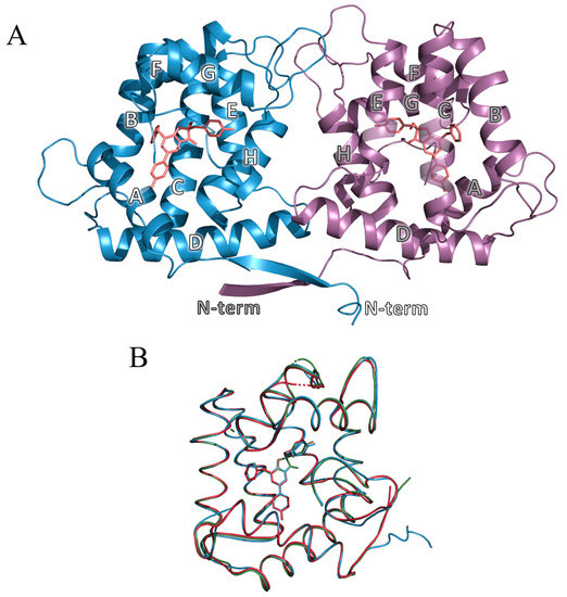 The Role of Tyr-His-Trp Triad and Water Molecule Near the N1-Atom of 2 ...