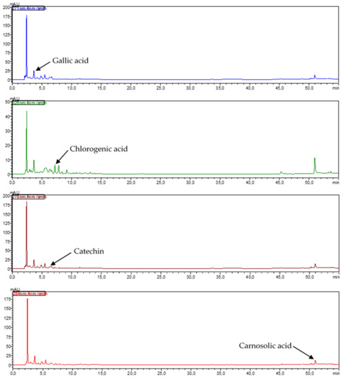 Young Shoots of Red Beet and the Root at Full Maturity Inhibit ...
