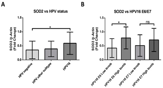 Ijms Free Full Text Interaction Between Cigarette Smoke And Human