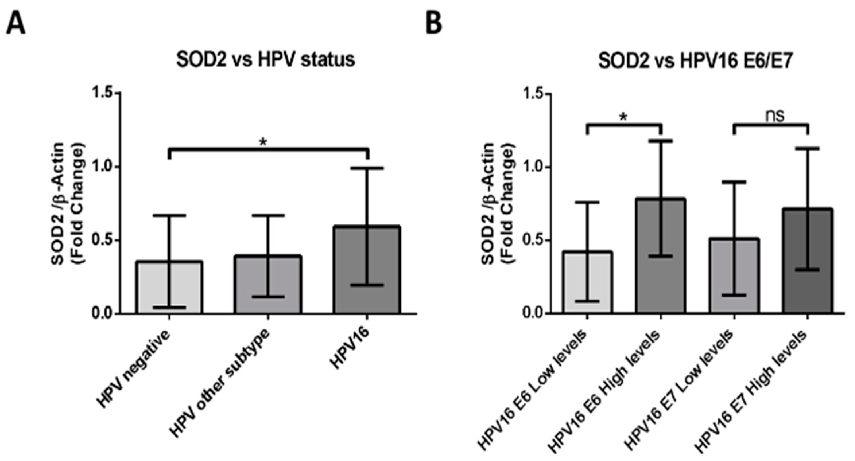 Ijms Free Full Text Interaction Between Cigarette Smoke And Human