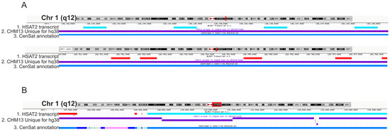 Overexpression of Pericentromeric HSAT2 DNA Increases Expression of EMT ...