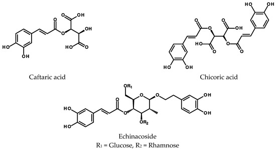 Hairy Root Cultures as a Source of Phenolic Antioxidants: Simple ...