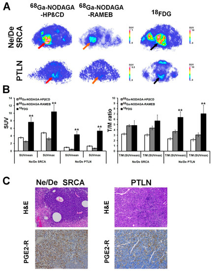 Overview of Prostaglandin E2 (PGE2)-Targeting Radiolabelled Imaging ...