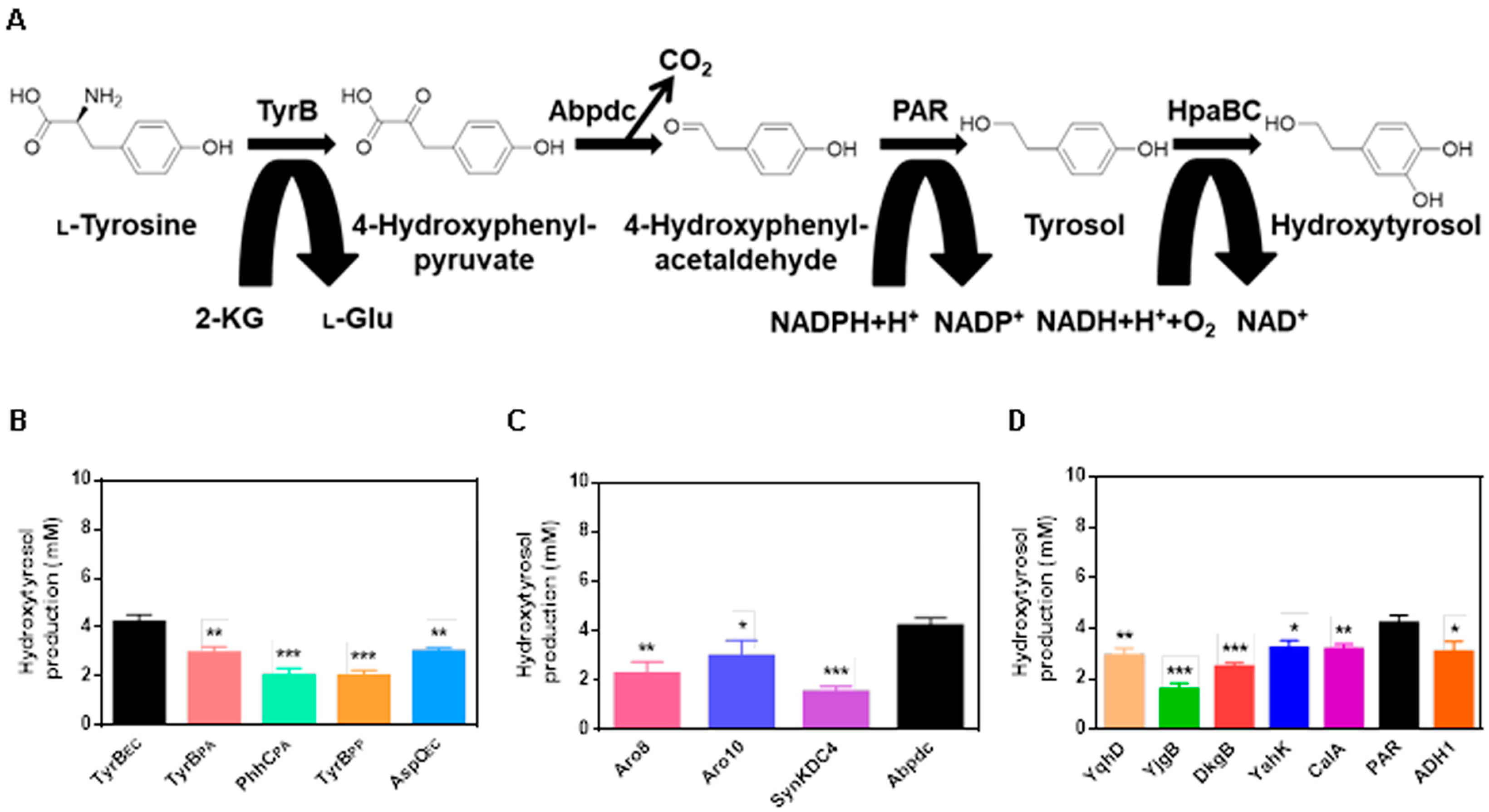 A Novel Microbial Consortia Catalysis Strategy for the Production of ...