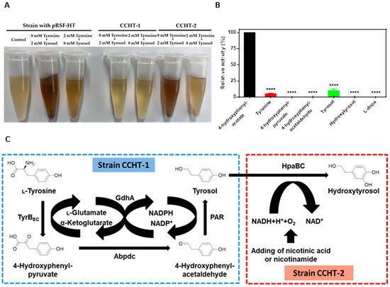 A Novel Microbial Consortia Catalysis Strategy for the Production of ...
