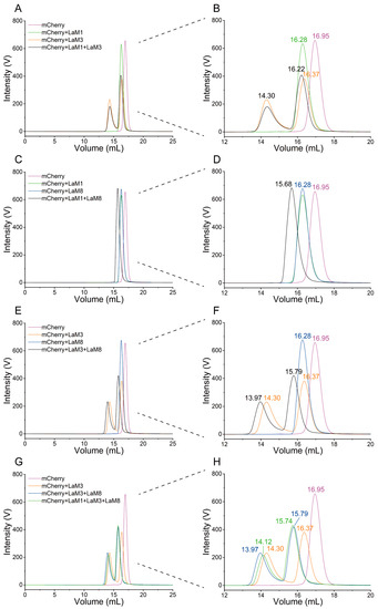 IJMS | Free Full-Text | Structural Insights into the Binding of Red ...