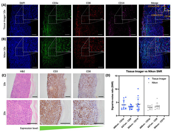 A Low-Cost Modular Imaging System for Rapid, Multiplexed ...