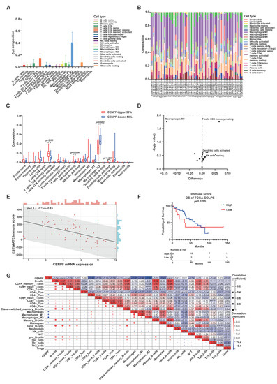 Deciphering the Prognostic and Therapeutic Significance of Cell Cycle ...