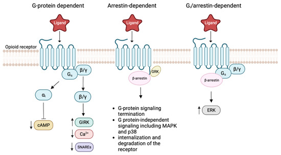 Three-Dimensional Structural Insights Have Revealed the Distinct ...