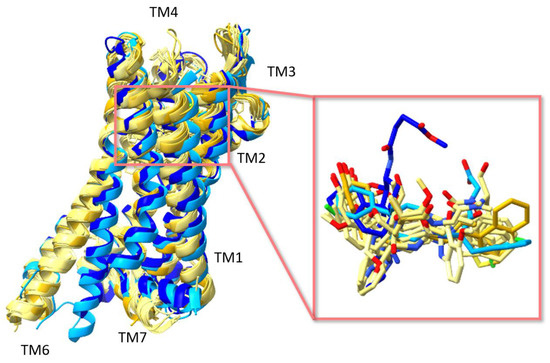 Three-Dimensional Structural Insights Have Revealed the Distinct ...