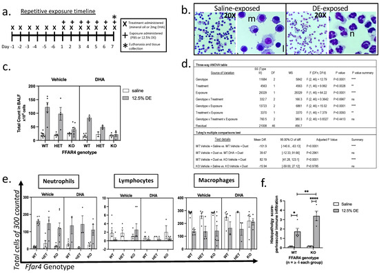 IJMS | Free Full-Text | Lipid-Sensing Receptor FFAR4 Modulates ...