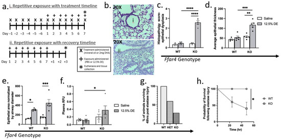 IJMS | Free Full-Text | Lipid-Sensing Receptor FFAR4 Modulates ...