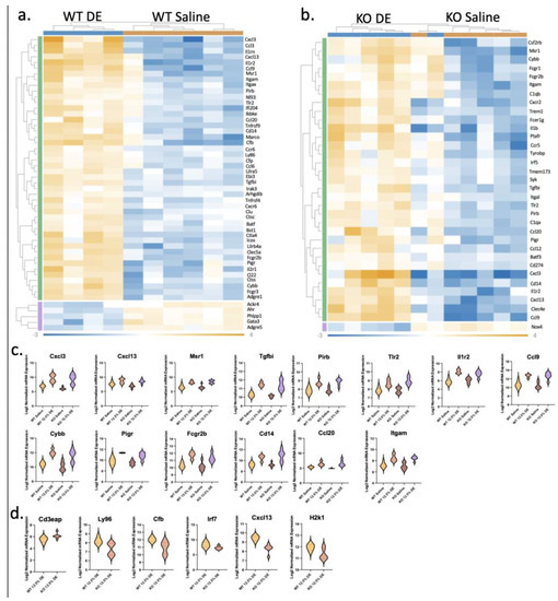 IJMS | Free Full-Text | Lipid-Sensing Receptor FFAR4 Modulates ...