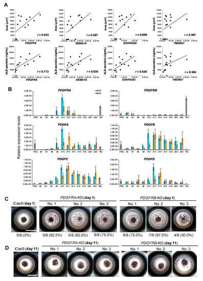 PDGF Receptors and Signaling Are Required for 3D-Structure Formation ...