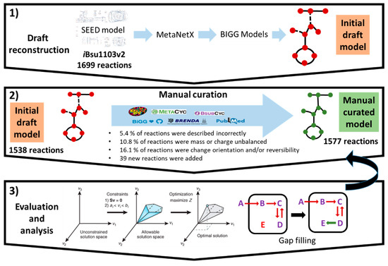 New Insights on Metabolic Features of Bacillus subtilis Based on ...
