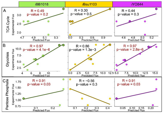 New Insights on Metabolic Features of Bacillus subtilis Based on Multistrain Genome-Scale ...
