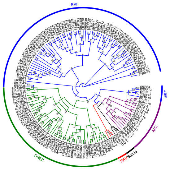 Genome-Wide Identification, Evolution, and Expression Analyses of AP2 ...