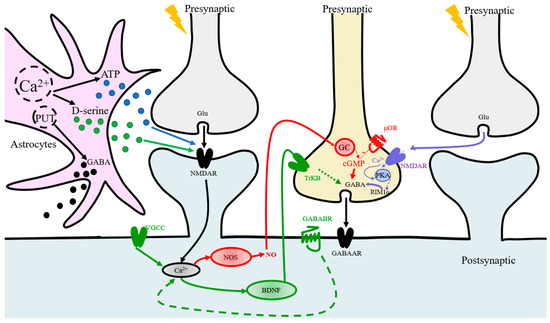 Advances in the Electrophysiological Recordings of Long-Term Potentiation