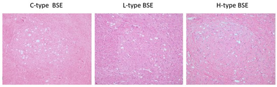 Conventional and State-of-the-Art Detection Methods of Bovine ...