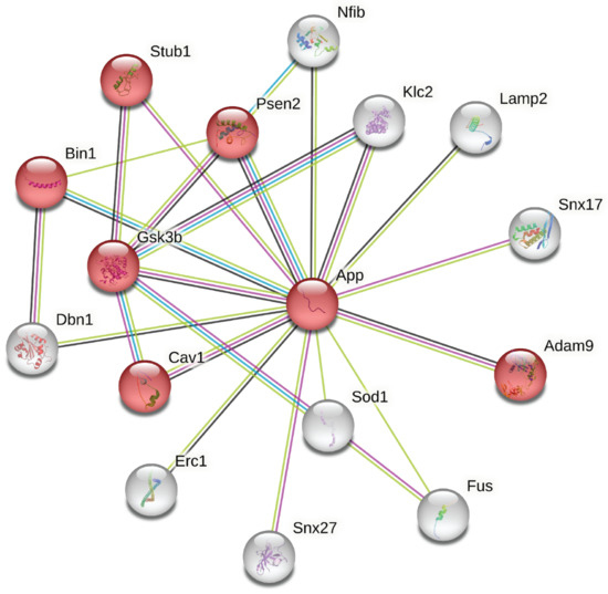 IJMS | Free Full-Text | Secreted Amyloid Precursor Protein Alpha (sAPPα ...